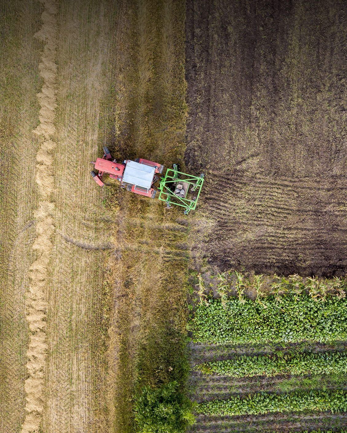 National Produce Supply & Logistics | The Ruby Company