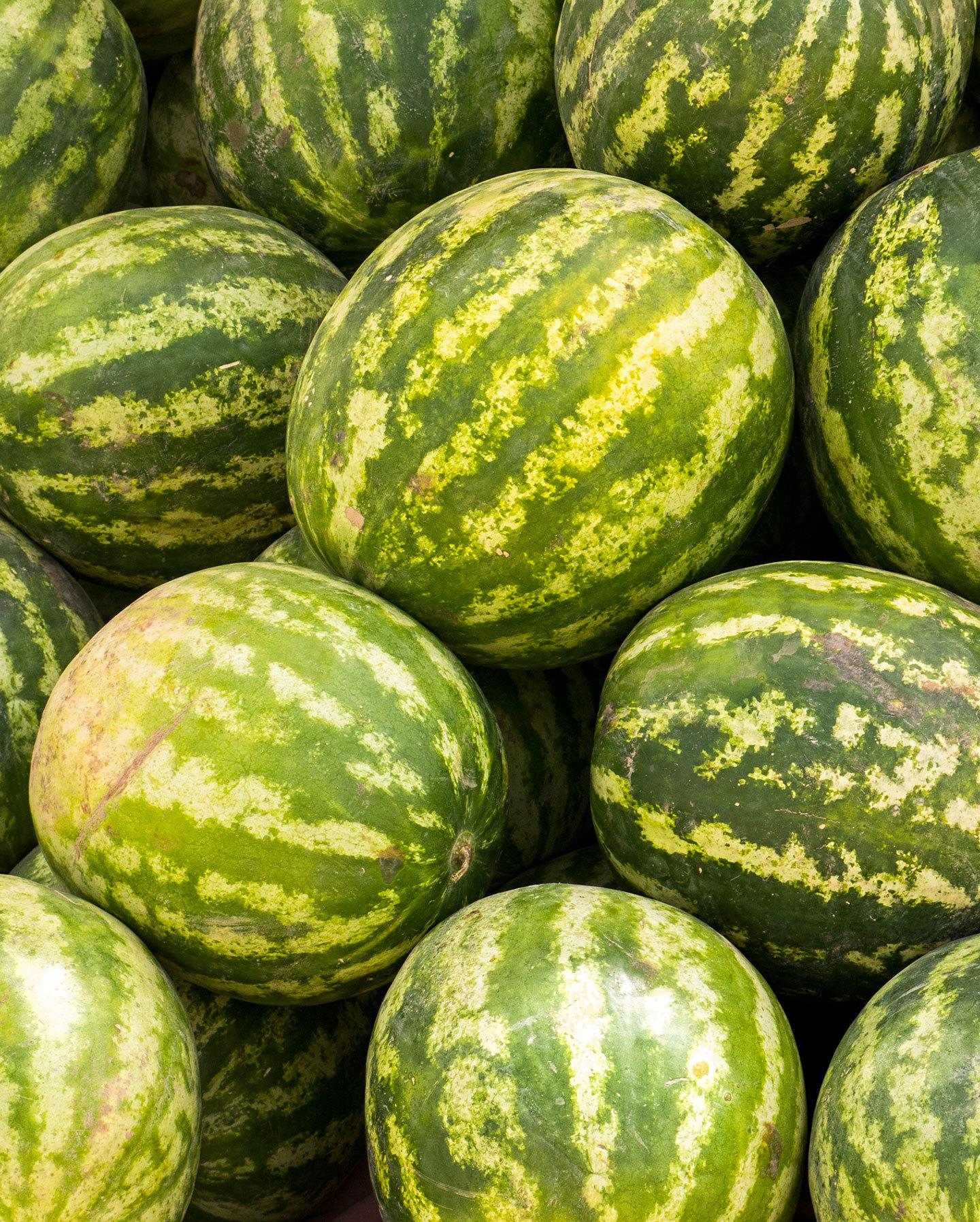 Melons | The Ruby Company