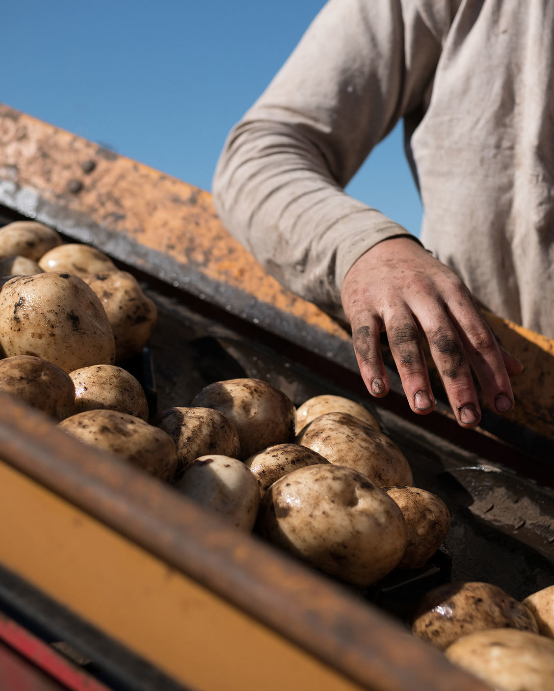 National Produce Supply & Logistics | The Ruby Company