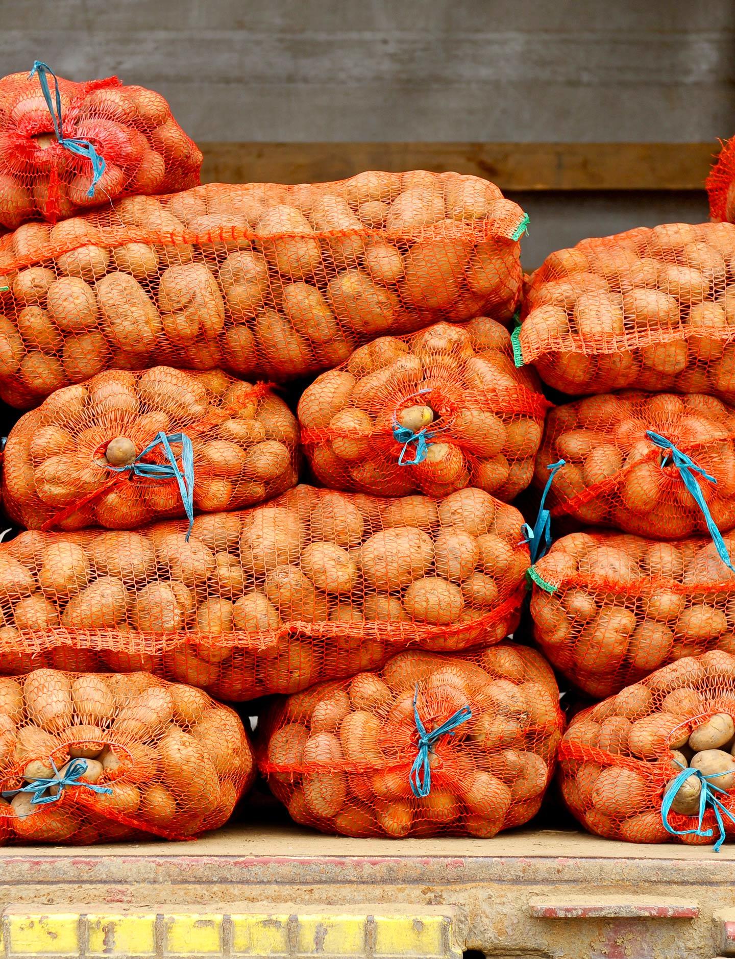 Logistics | The Ruby Company