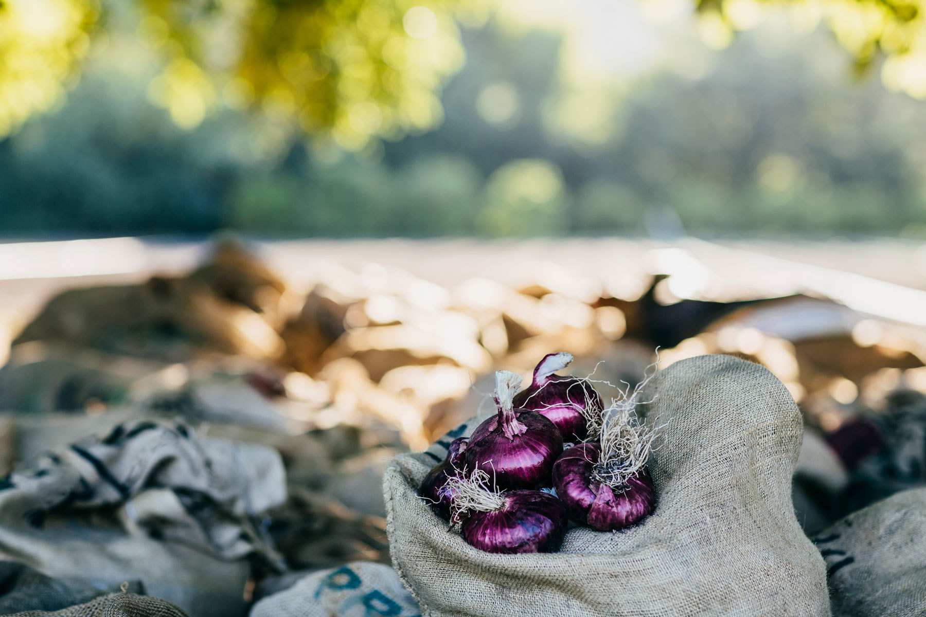 About | The Ruby Company